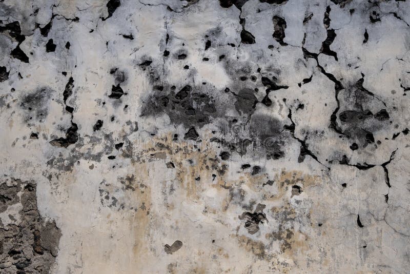 Old weathered wall texture stock photo. Image of cladding - 262375712
