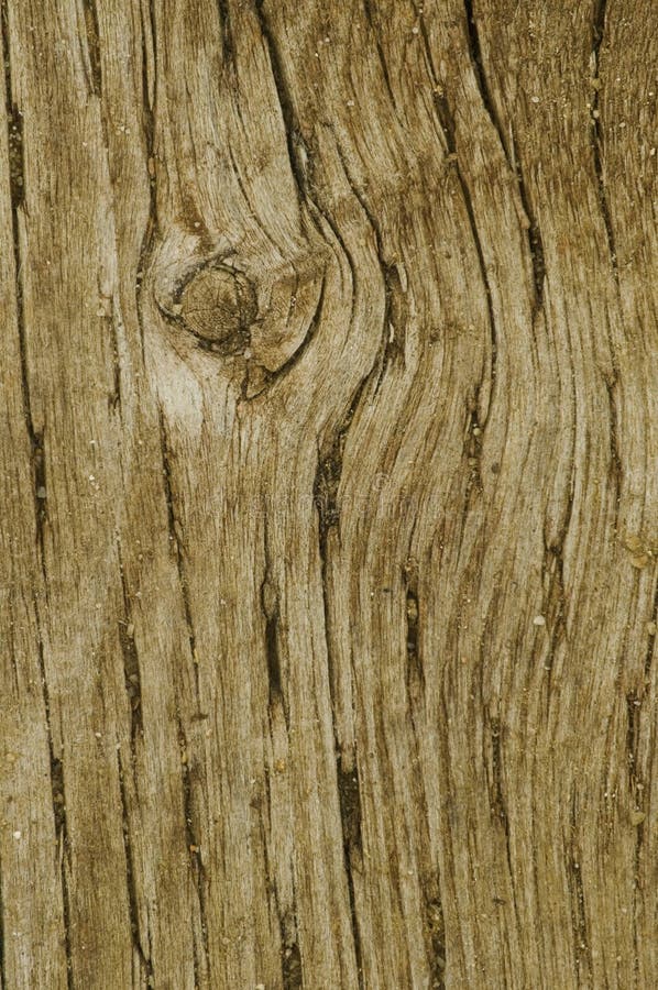 Old weathered wood stock photo. Image of background, grain - 13331320