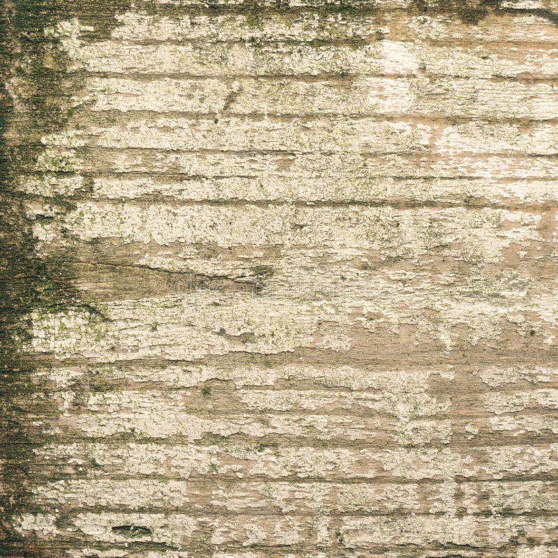 Old Weathered Wood As Background, Wood Texture Stock Image - Image of ...