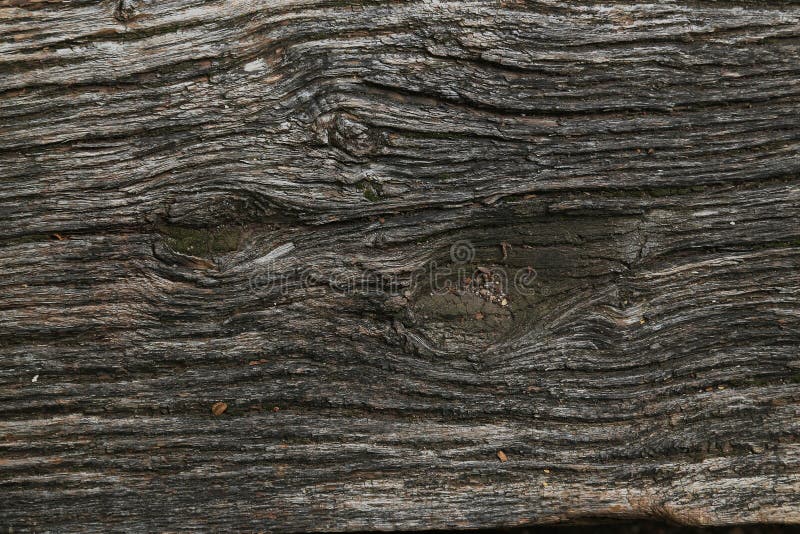 Old weathered wood stock image. Image of wood, weathered - 79005147