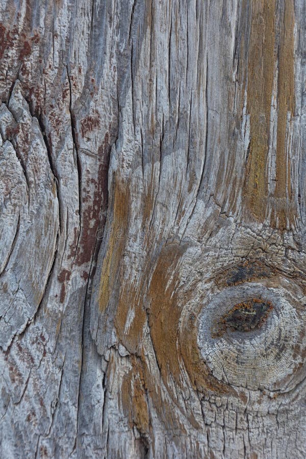 Old Weathered Wooden Beam with Distinctive Grain Stock Photo - Image of ...