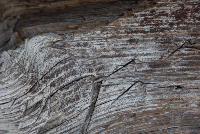 Old Weathered Wooden Beam with Distinctive Grain Stock Image - Image of ...