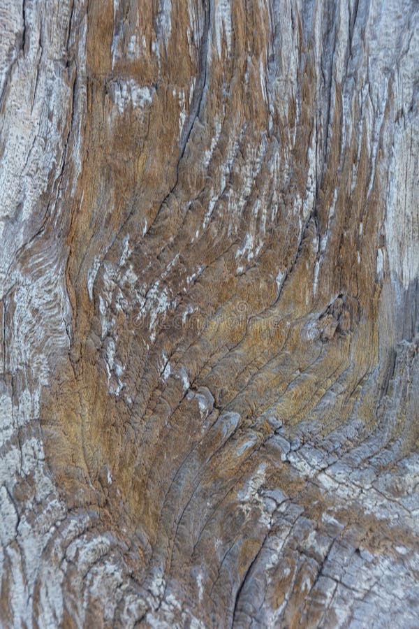 Old Weathered Wooden Beam with Distinctive Grain Stock Image - Image of ...