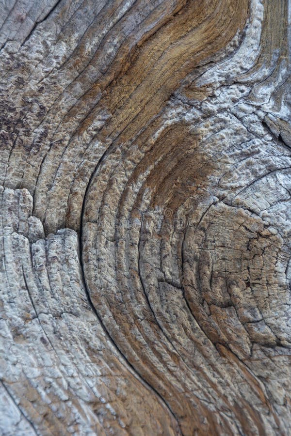 Old Weathered Wooden Beam Distinctive Grain Stock Photos - Free ...