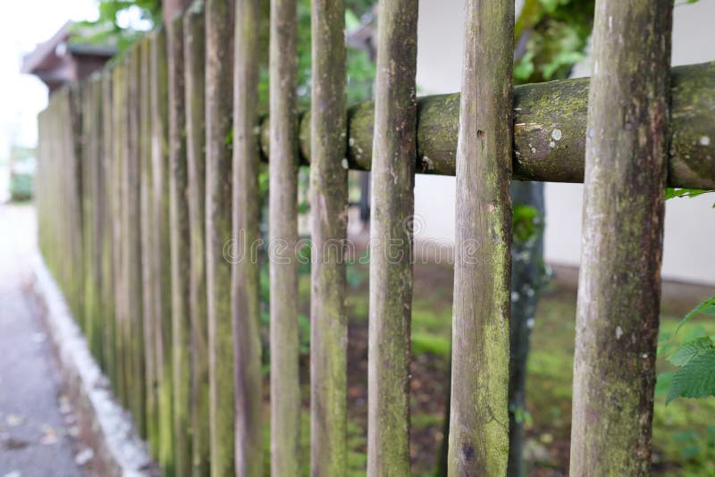 Old Weathered Wooden Fence with Moss Stock Image - Image of yard ...