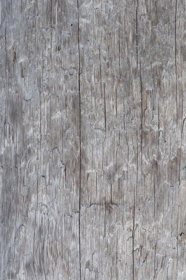 Old Weathered Wooden Log Texture Stock Photo - Image of fissure, timber ...