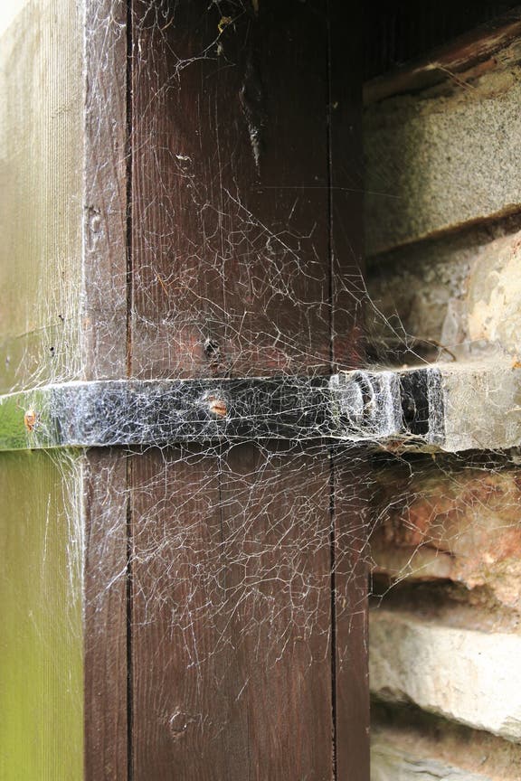 Old Webs, Spider Net in an Old Door by a Wall Stock Image - Image of ...