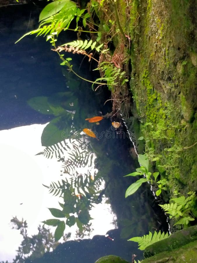 An Old Well that is Decades Old and Has Not Been Maintained Stock Image ...
