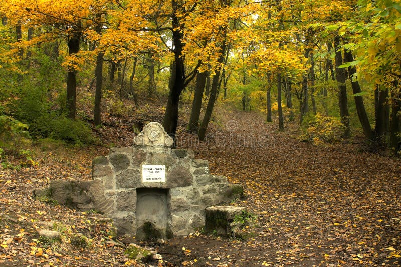Old well in deep forest stock image. Image of fall, orange - 79435099