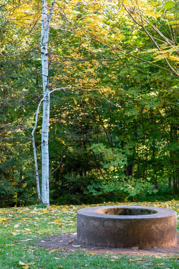 Well in a forest stock image. Image of covered, pine - 50343017