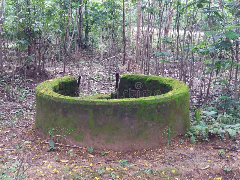 The Well Middle of the Forest Stock Photo - Image of natural, beautiful ...