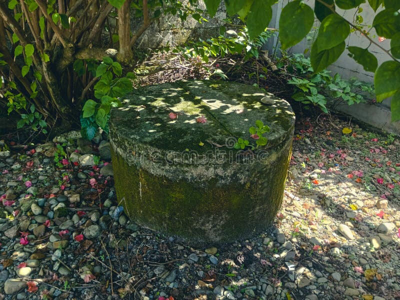 An Old Well with Moss on the Walls Under a Tree. Stock Photo - Image of ...