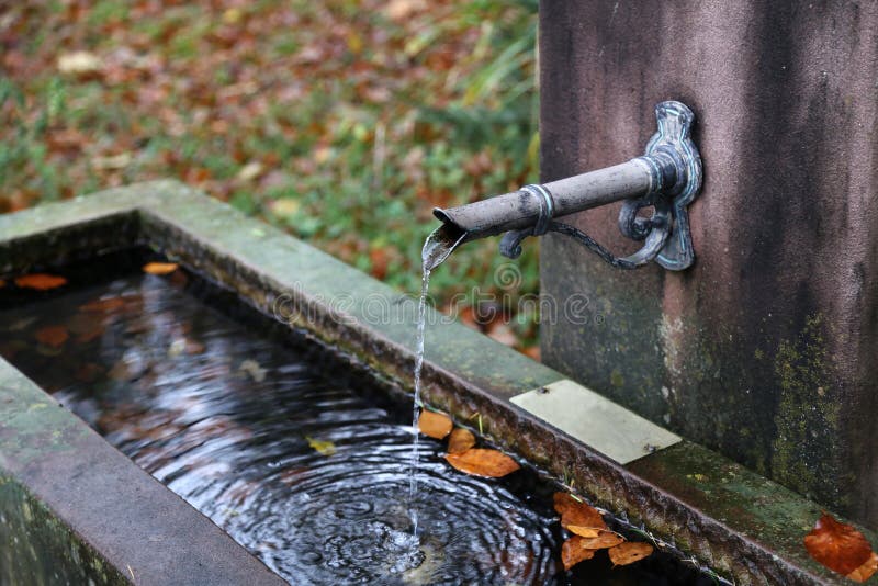 Old well in the forest stock image. Image of fantasy - 67688275