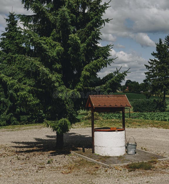 Old Well Under Green Spruce Tree Plastered in White Stock Photo - Image ...
