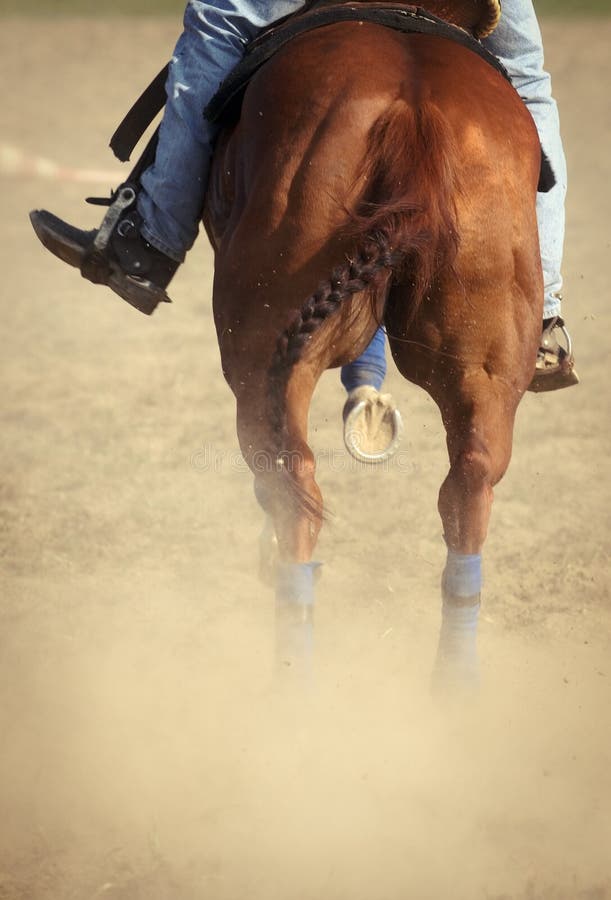 Old west riding stock photo. Image of wild, back, horse - 22309102