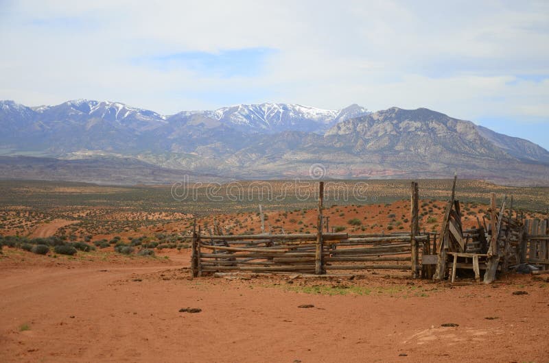 6+ Corral cows Free Stock Photos - StockFreeImages