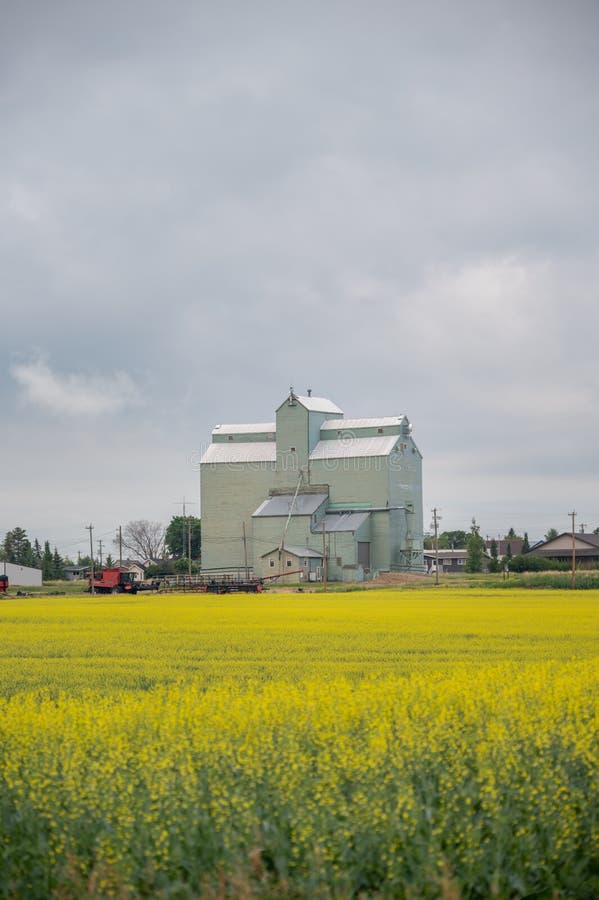 Old Wheat Pool Grain Elevator, Trochu Editorial Stock Photo - Image of ...