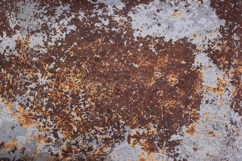 Old Barrel Can Rusting on the Ground among Jumping Cactus in the ...