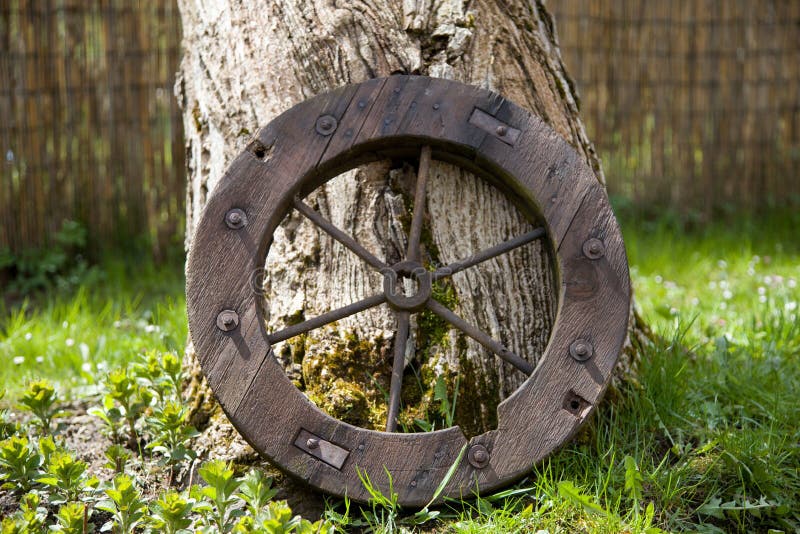 Old wheel by tree stock photo. Image of wheel, wood - 229014654