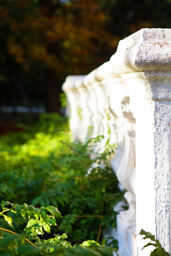 Old White Columns Overgrown with Green Plants Stock Image - Image of ...