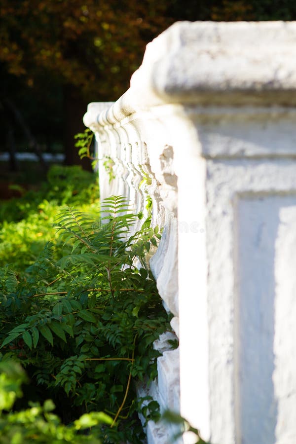 Old White Columns Overgrown with Green Plants Stock Photo - Image of ...
