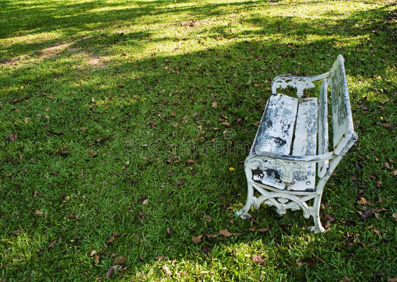 Old White Field Chairs on the Lawn Stock Image - Image of chair, fall ...