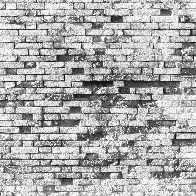 Old White Grungy Brick Wall, Square Texture Stock Image - Image of ...