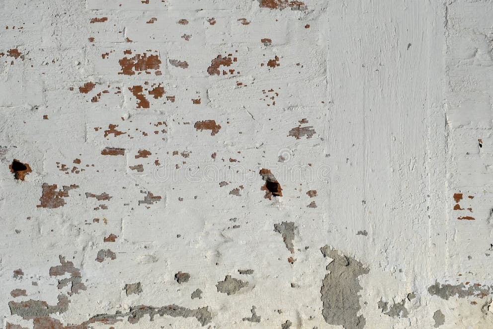 Limewash Wallpaper Sample Stock Photos - Free & Royalty-Free Stock ...