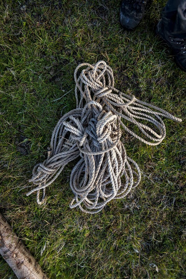 A Old White Rope in the Grass Stock Image - Image of cord, turf: 197220217