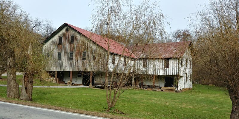 Old White Rustic Country Barn Stock Photo - Image of farm, white: 136496186