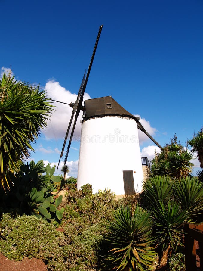 Old white stone windmill stock image. Image of flour, palm - 3402901