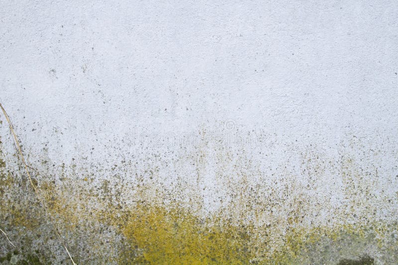 Old white wall background stock photo. Image of aged - 163976744