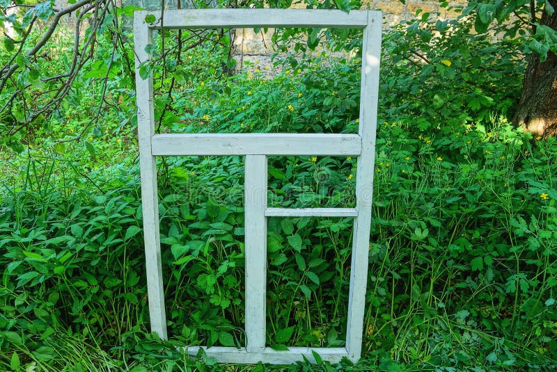Old White Wooden Window Frame Stands among Green Grass and Branches ...