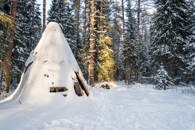 Wigwam Forest Stock Photos - Download 503 Royalty Free Photos