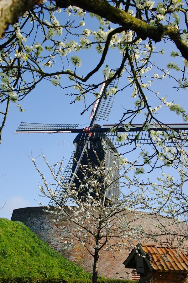 Old Windmill in Netherlands, Spring Season Stock Image - Image of ...