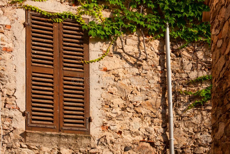 French Window stock photo. Image of blooms, blooming - 24111470