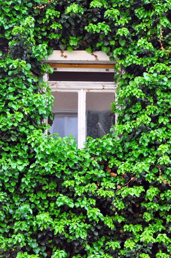 Old Window stock image. Image of german, stone, germany - 9775411