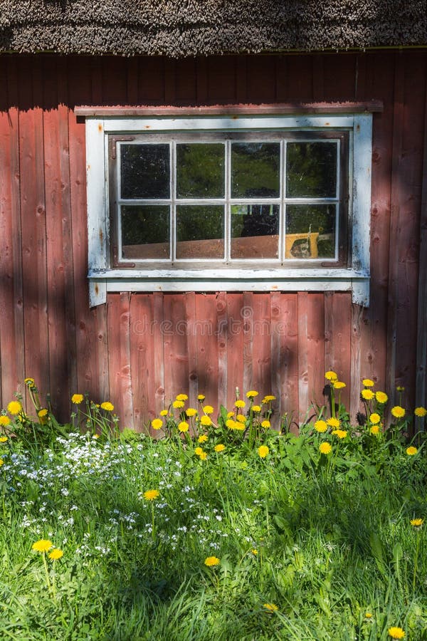 Old Window on the Barn and Flowers Stock Photo - Image of house, rustic ...