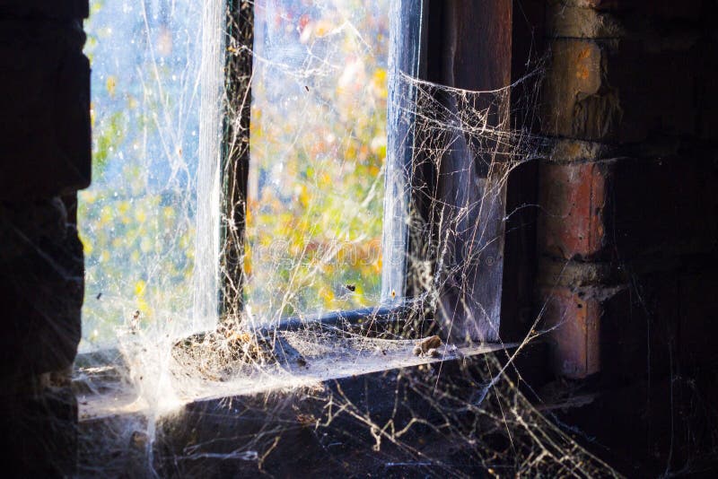 1,795 Grunge Cobweb Stock Photos - Free & Royalty-Free Stock Photos ...