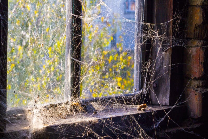 Old Dusty Window Wall Cobweb Stock Photos - Free & Royalty-Free Stock ...