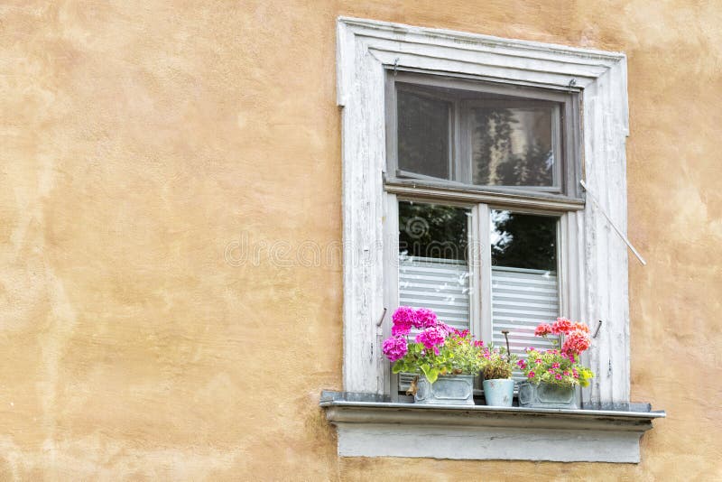 Old Window with Flower Pots Stock Photo - Image of house, vintage: 42989774