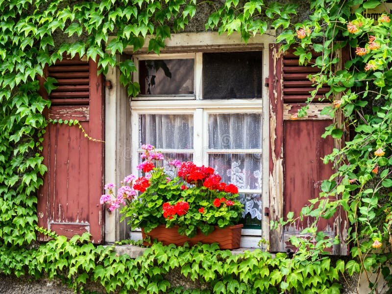 Old window and flowers stock image. Image of fashioned - 50729887