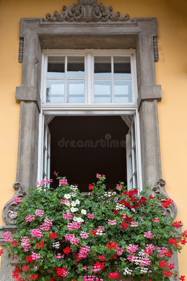 Old window with flowers stock photo. Image of classic - 107940622