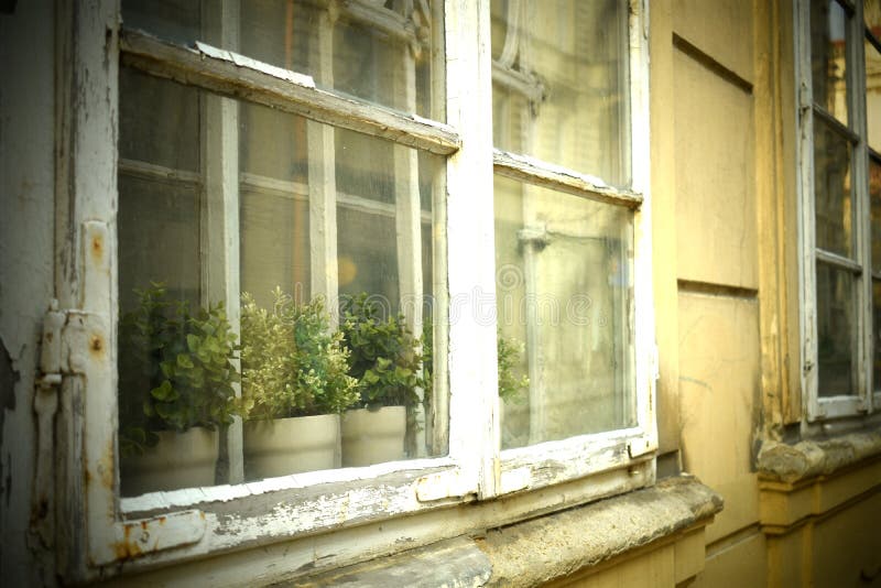 Old window stock photo. Image of white, prague, historic - 92091348