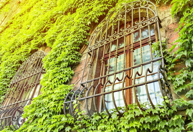 The Old Window Overgrown with Branches of Trees, Beautiful Architecture ...