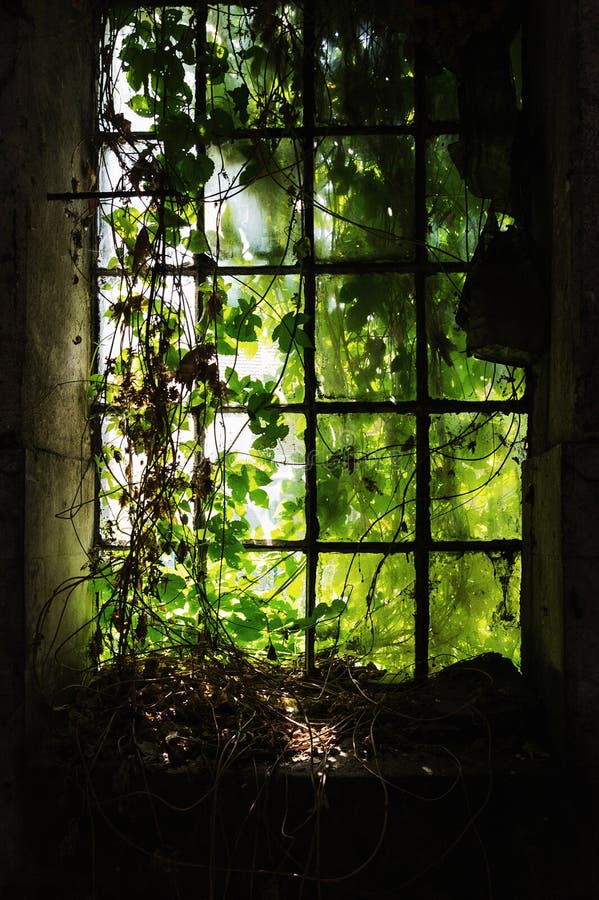 Old window stock photo. Image of window, closeup, spooky - 37915692