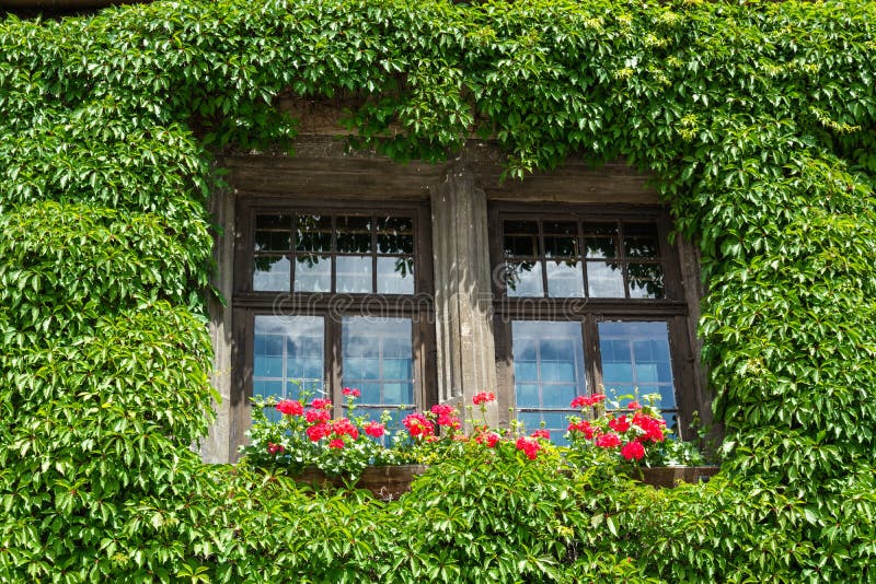 Window Surrounded by Nature Stock Image - Image of sculpture, building ...