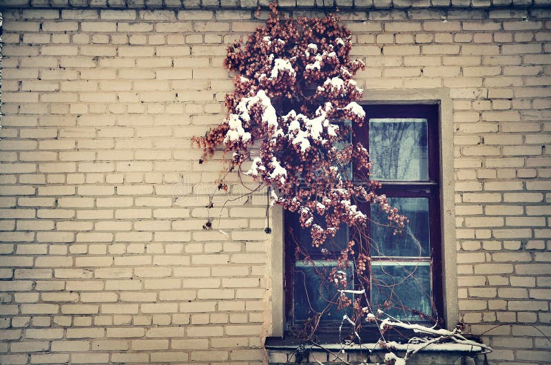 Frosted Window Panes Stock Photos - Free & Royalty-Free Stock Photos ...