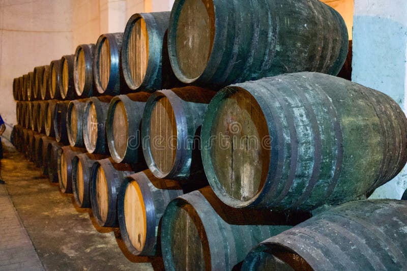 Old Wine Barrels in a Traditional Wine Cellar in Spain Stock Photo ...