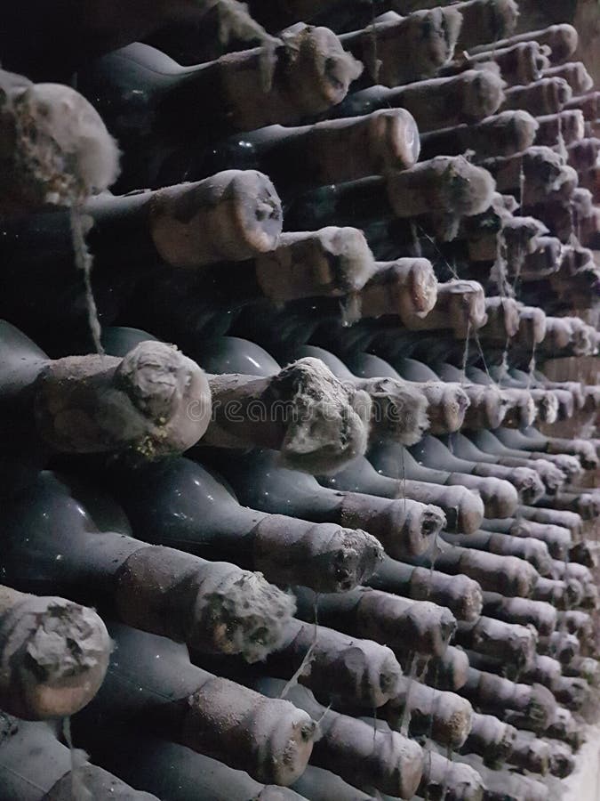 Old Wine Wine Cellar Grape Wine Winery Stock Photo - Image of champaine ...